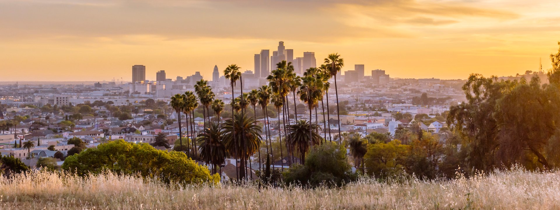 Substitute Teacher Requirements | Swing Education